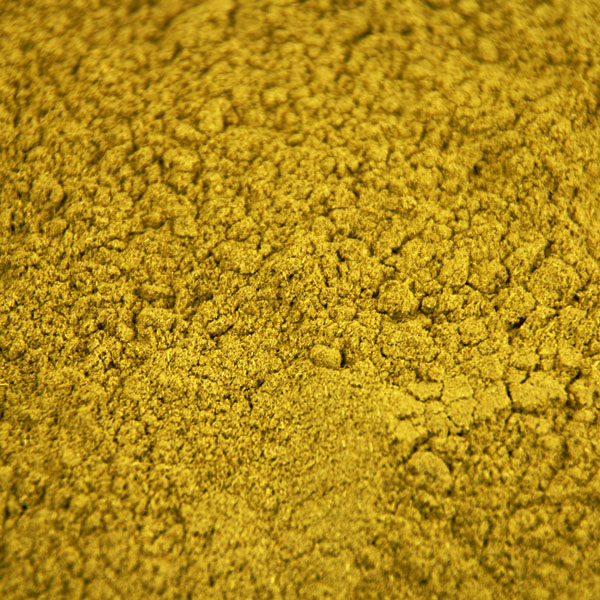 9 Natural Treatment for Bronchiectasis - Herbal Care Products - Blog